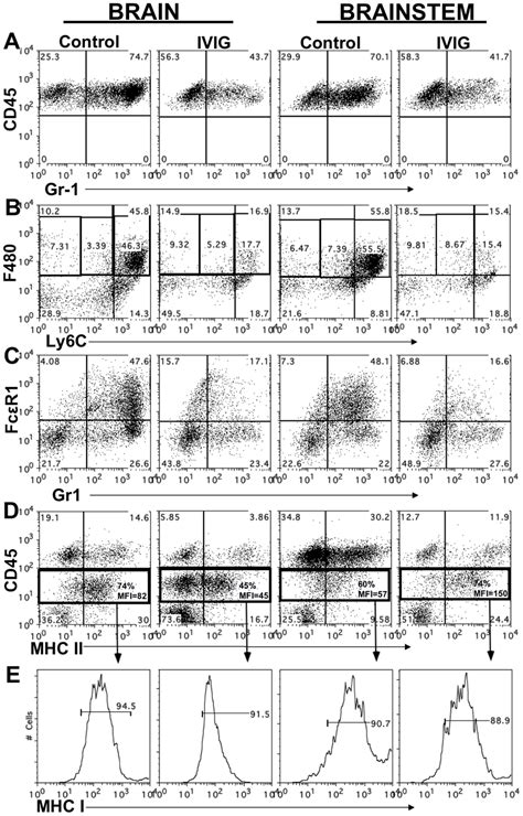 Ivig Alters The Phenotype Of Macrophages And Microglia Cd45high Download Scientific Diagram