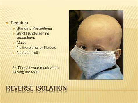 PPT Isolation Precautions PowerPoint Presentation Free Download ID