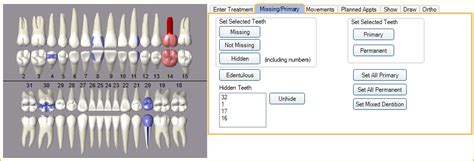 Dental Tooth Chart