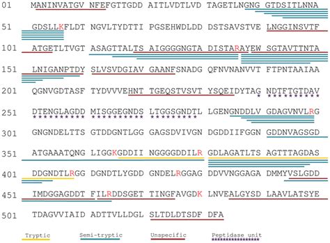 Zp02147451 Sequence Coverage With Non Tryptic Semi Tryptic And