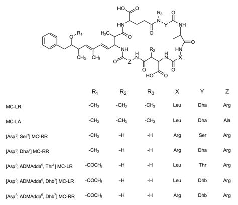 Structure Of Microcystin Lr And The 6 Microcystin Mc Congeners