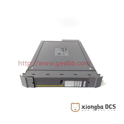 ICS TRIPLEX T8231 Power Pack 24VDC ICS TRIPLEX Xiongba