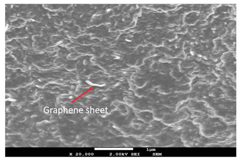 Sem Scanning Electron Microscopy Micrograph Of A Graphene Sheet In