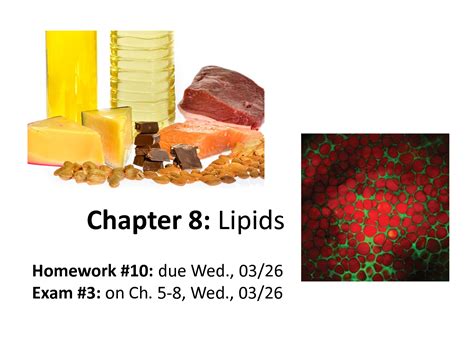 SOLUTION Types Of Lipids Studypool