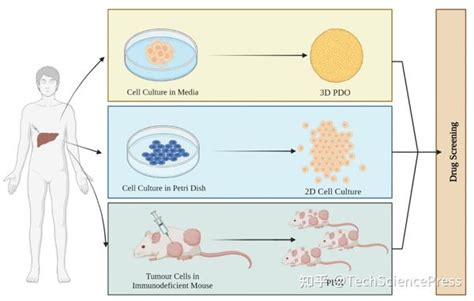【or编辑推荐】七篇肝癌研究荐读文章见解与创新 知乎