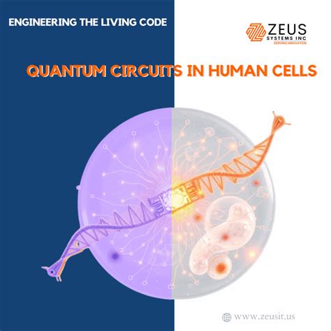 Quantum‑epigenetic Biosynthetic Circuits Engineering The Living Code