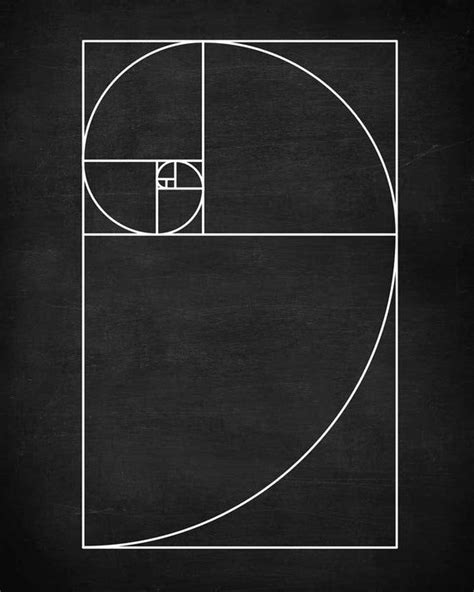 Fibonacci Spiral Wall Golden Ratio Wall Art Mathematics Fibonacci Numbers Back To School