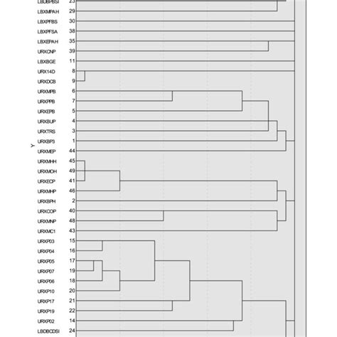 The First Agglomerative Hierarchical Cluster Analysis Result Based On Download Scientific