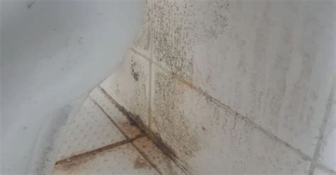 비용도 합리적이였고 집에 없었어도 안심하고 맡길수 있게끔 수시로 공유 해주셨습니다 깔끔하게 해주셔서 덕분에 안심하고 잘수 있게됐습니다 감사합니다 숨고 숨은고수