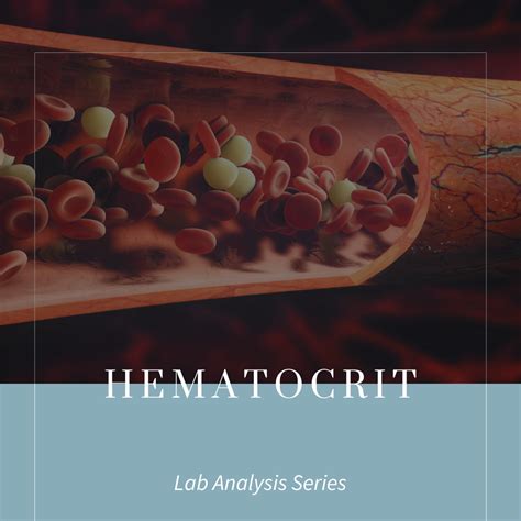 Hematocrit What Highs And Lows Mean In Pregnancy Sarah Thompson