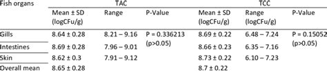 Overall Mean Total Aerobic Counts Tac And Total Coliform Count Of Download Scientific Diagram