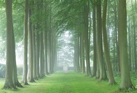 Motivation And Creativity