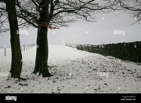 White nancy hi-res stock photography and images - Alamy