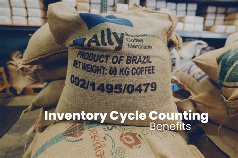 Inventory Cycle Counting Benefits Challenges Best Practices