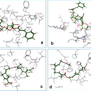Docking Of The Isolated Compounds To The Hcv Ns34a Protease Active