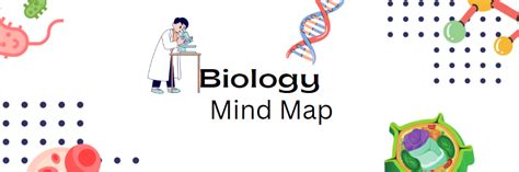 Biology Mind Map A Visual Way To Learn
