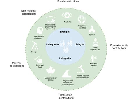 Examples Of How Generalised And Context Specific Natures Contributions