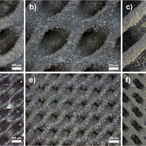 Surface Topography And Partially Melted Powder As Seen On The L Top Download Scientific