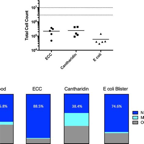Flow Cytometry Gating Strategy Representative Dot Plots Of Flow Download Scientific Diagram