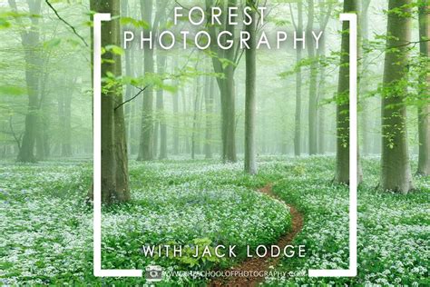 【风光摄影】the School Of Photography Jack Lodge森林风光摄影教程 中英字幕繁星摄影