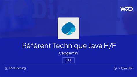 Référent Technique Java Hf Capgemini It Job