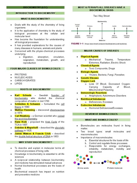 Week 1 Intro To Biochemistry Pdf Biochemistry Chemistry