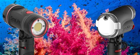 Underwater LED Light Vs Strobe Which Is Best For Me Underwater SeaLife