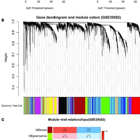Identification Of Modules Associated With Clinical Information In The