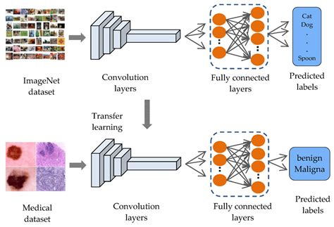 🎯 Image Classification With Pytorch Lightning