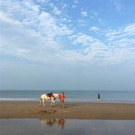 Jackson忽略未知的json属性 知乎