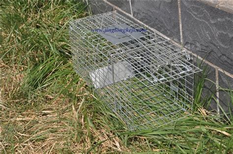 景隆流浪猫诱捕笼的使用方法