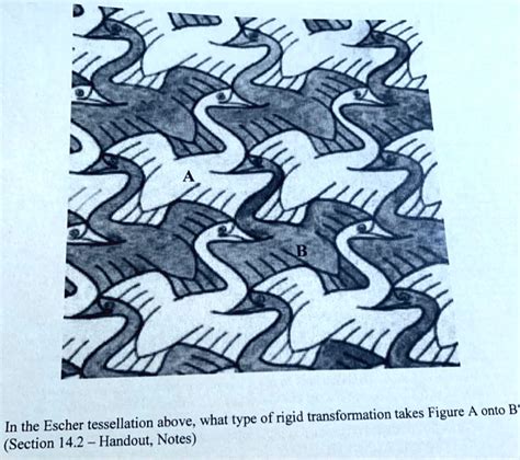SOLVED Tessellation Above What Type Ofrigid Transformation Takes