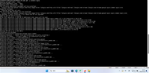 在ubuntu 2204上架设lamp服务器及wendasns博客ubuntu22 Nginx Php Mysql Csdn博客