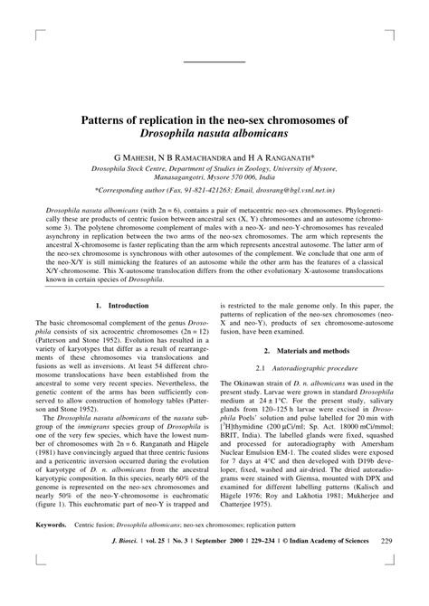 Pdf Patterns Of Replication In The Neo Sex Chromosomes Ofdrosophila
