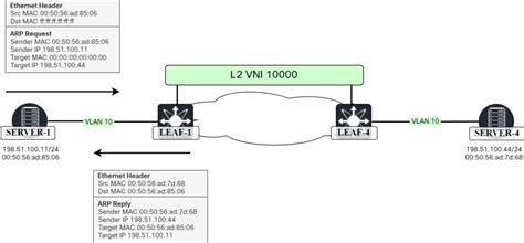 Bridging Packet Walk In VXLAN EVPN Network Daniels Networking Blog