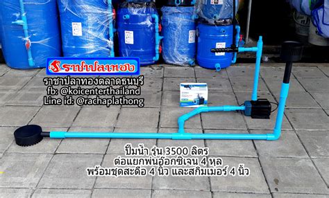 ปั๊มน้ำ ขนาด 3500 ลิตร ต่อ แยกพ่นอ๊อกซิเจน 4 หุล พร้อมชุด สะดือเทียม 4 นิ้ว สกิมเมอร์ 4 นิ้ว