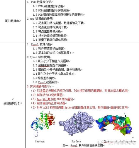 蛋白结构分析、autodock分子对接、蛋白 蛋白相互作用预测、药效团虚拟筛选、构效关系预测分子活性、能量及相互作用分析（amber）、水溶性蛋白质、生物膜蛋白建模计算分析、gromacs编译