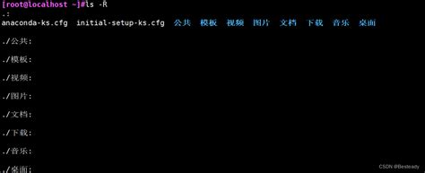 Linux基础命令（1） Csdn博客