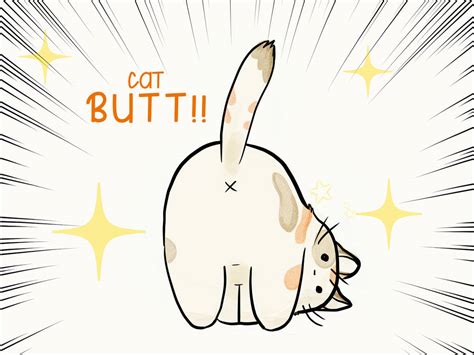 Cat Butt By 15cocopuffs On Deviantart