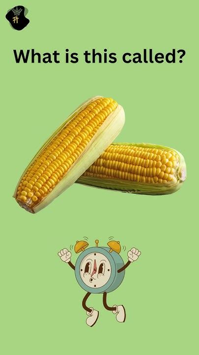 Vegetable And Fruit Vocabulary Part1 ဟင်းသီးဟင်းရွက် အသီးအနှံနှင် သက်ဆိုင်သောဝေါဟာရများအပိုင်း