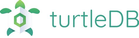 TurtleDB
