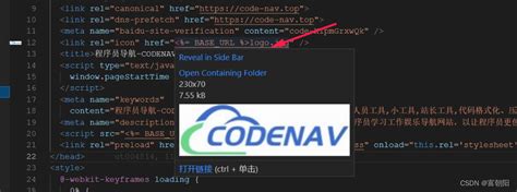 前端vscode必备插件ai帮你写代码前端小阳仔