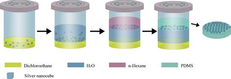 Schematic Illustration Of The Preparation Of The Self Assembled Ag