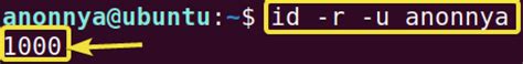 The “id” Command In Linux 7 Practical Examples Linuxsimply