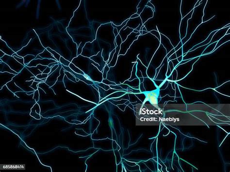 뇌 신경 시 냅 스 신경망 회로 뉴런의 퇴행 성 질환 파 킨 슨 병 도파민에 대한 스톡 사진 및 기타 이미지 도파민 신경세포 0명 Istock