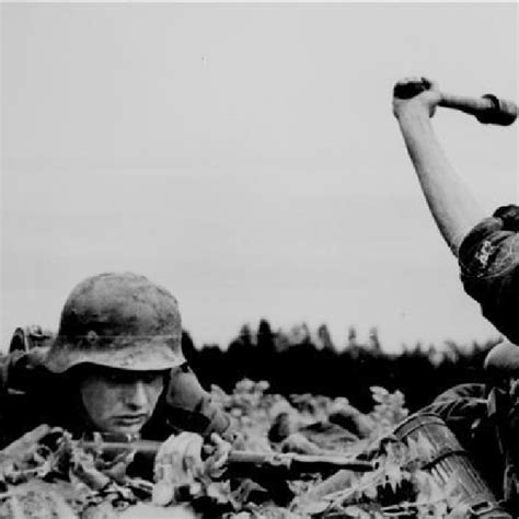 Feldherrnhalle装甲掷弹兵师百度百科