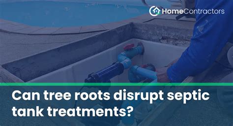 Can Tree Roots Disrupt Septic Tank Treatments