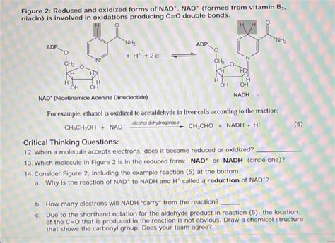 Solved Figure 2 Reduced And Oxidized Forms Of NAD NAD Chegg Com