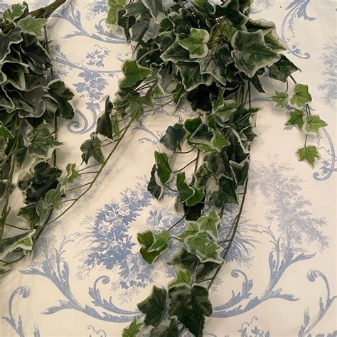 Artificial Trailing Geraniums And Ivy In Wigan For £3000 For Sale Shpock Artificial Trailing Geraniums And Ivy In Wigan For £3000 For Sale Shpock