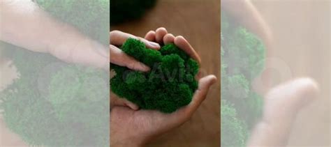 Мох стабилизированный ягель купить в Москве Товары для дома и дачи Авито